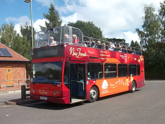 Multi-coloured New Forest Tours – BusAndTrainUser