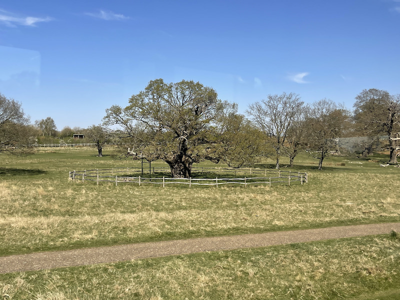 Britain’s Top 10 Quirky Bus Routes: 6 Royal Parks RP1 – BusAndTrainUser